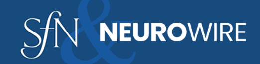 NeuroWire Virtual Club - Brings together neuroscientists around the world